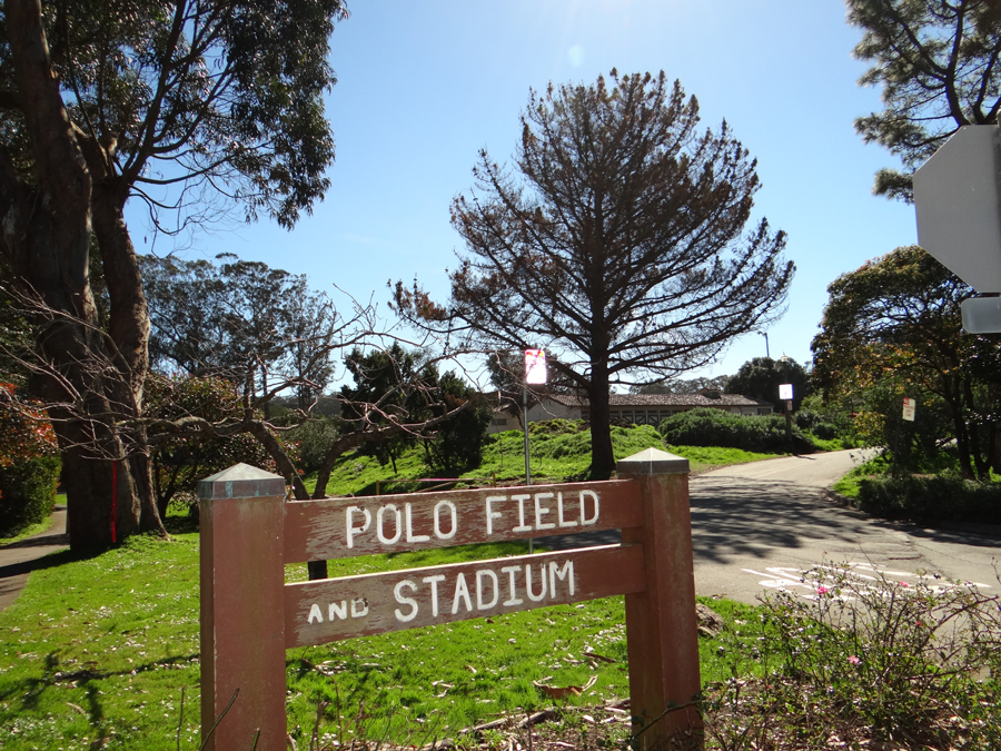 ‘Looking Back’: GG Park’s Polo Field – Richmond Review/Sunset Beacon
