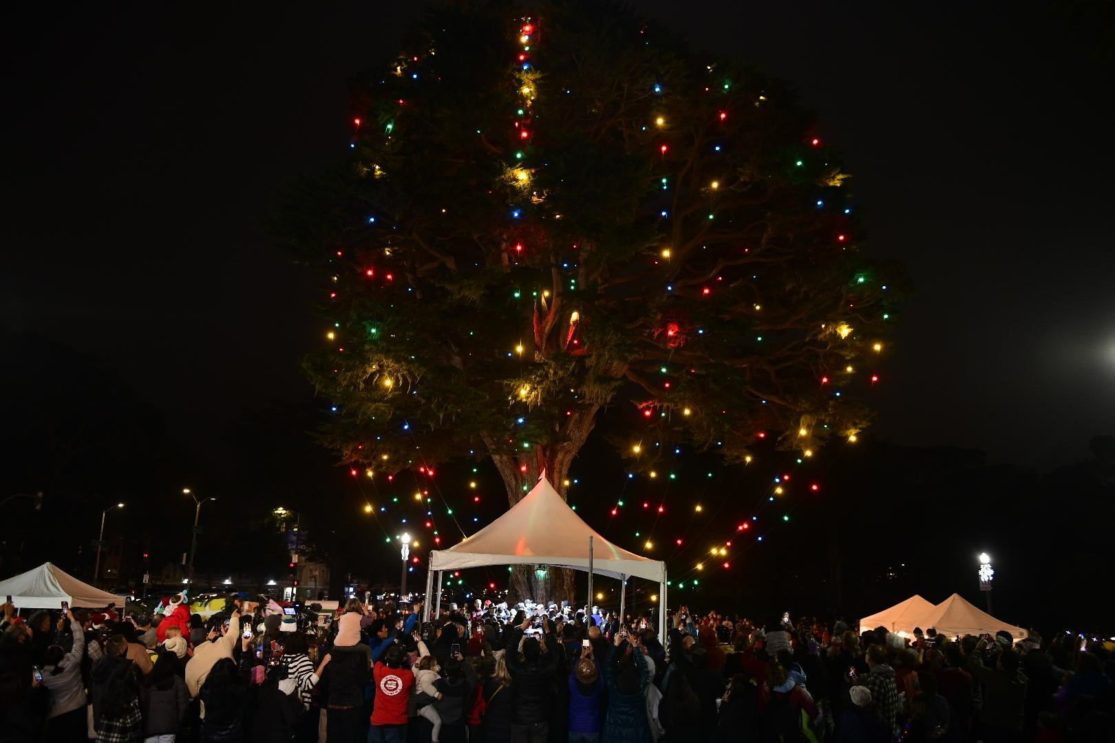 Press Release: Tree Lighting Ceremony in Golden Gate Park Dec. 2, 2021 ...