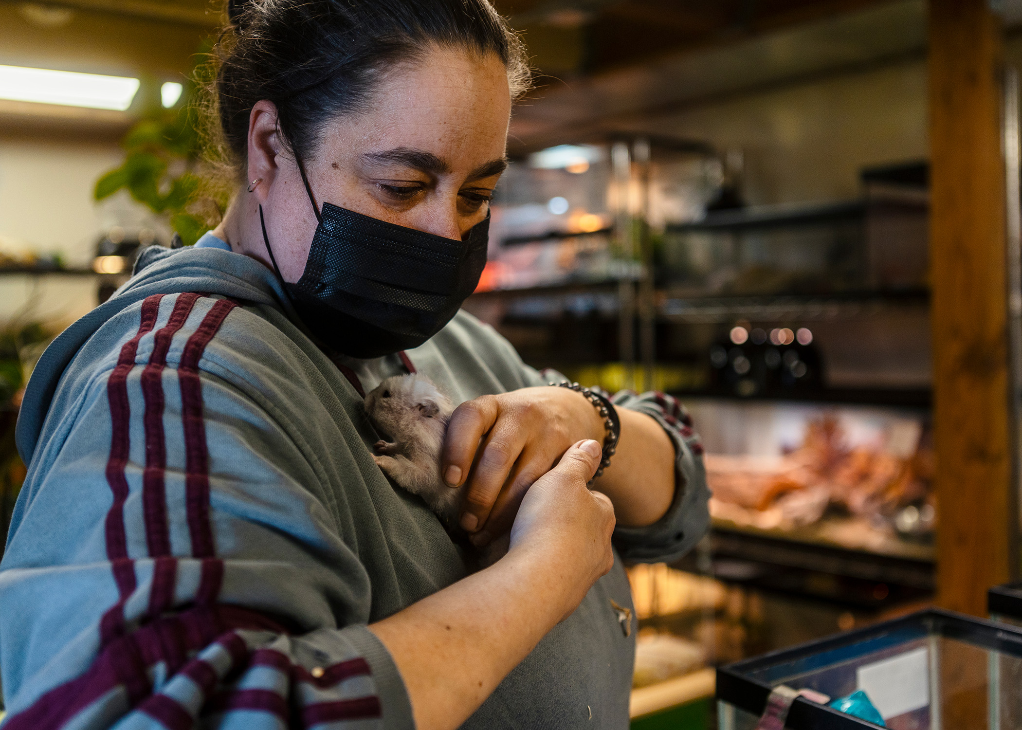 ‘Photos of the Sunset District’: The Animal Connection – Richmond ...