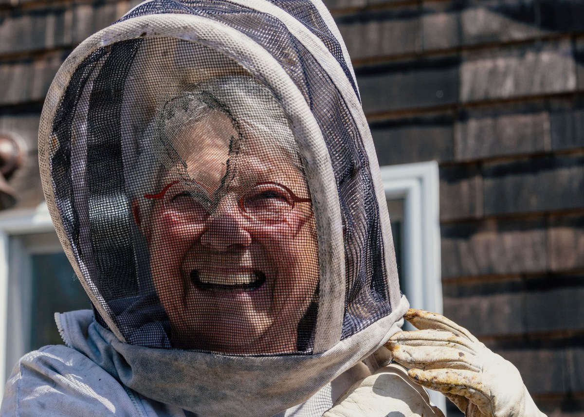 ‘Photos of the Sunset District’: Sunset District Beekeepers – Richmond ...
