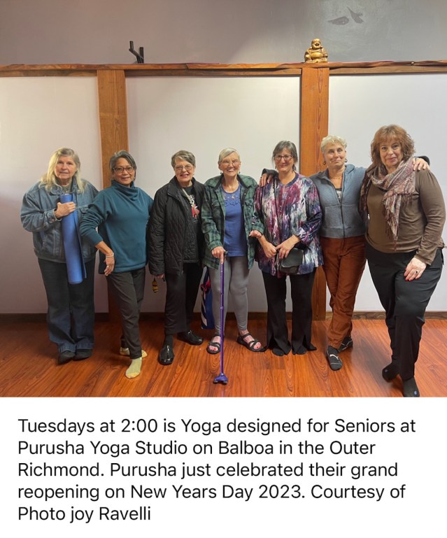 Coming Back After the Pandemic, Purusha Yoga Studio on Balboa Re-Opens ...