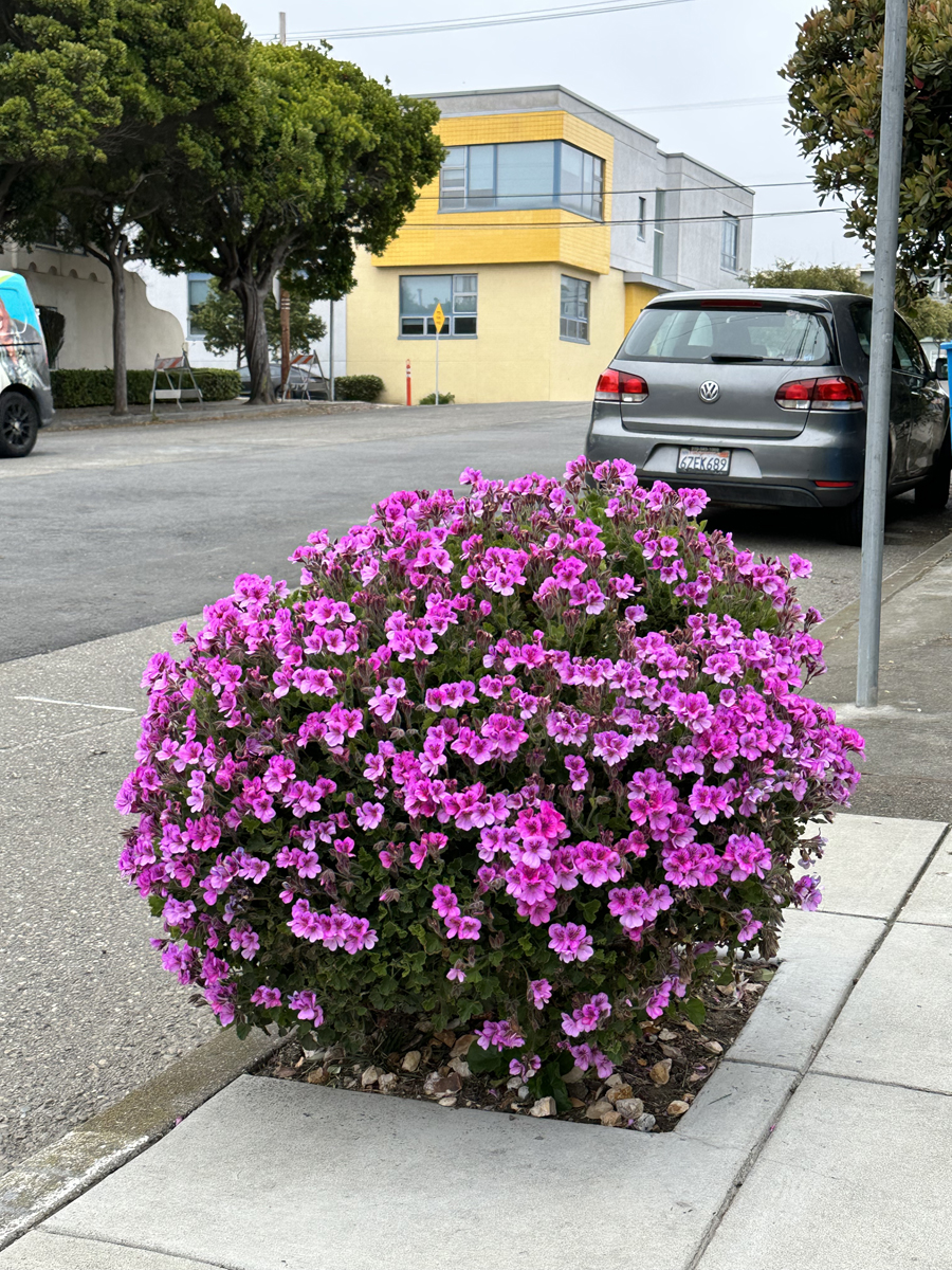 ‘Photos of the Month’: July 2023 – Richmond Review/Sunset Beacon