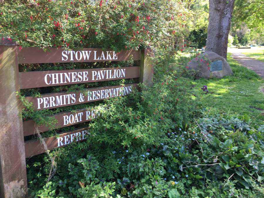 Press Release: Stow Lake Renamed Blue Heron Lake – Richmond Review ...