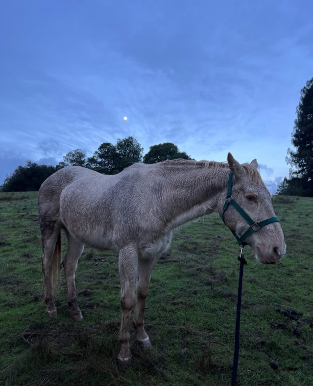 ‘Photos of the Month’: April 2024 – Richmond Review/Sunset Beacon