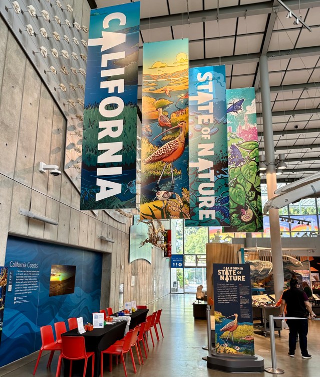 Press Release: Cal. Academy of Sciences Unveils New Permanent ...