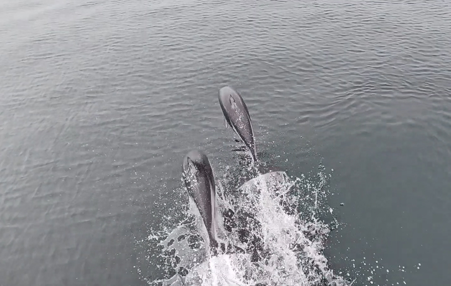 ‘Photos of the Month’: November 2024 – Richmond Review/Sunset Beacon