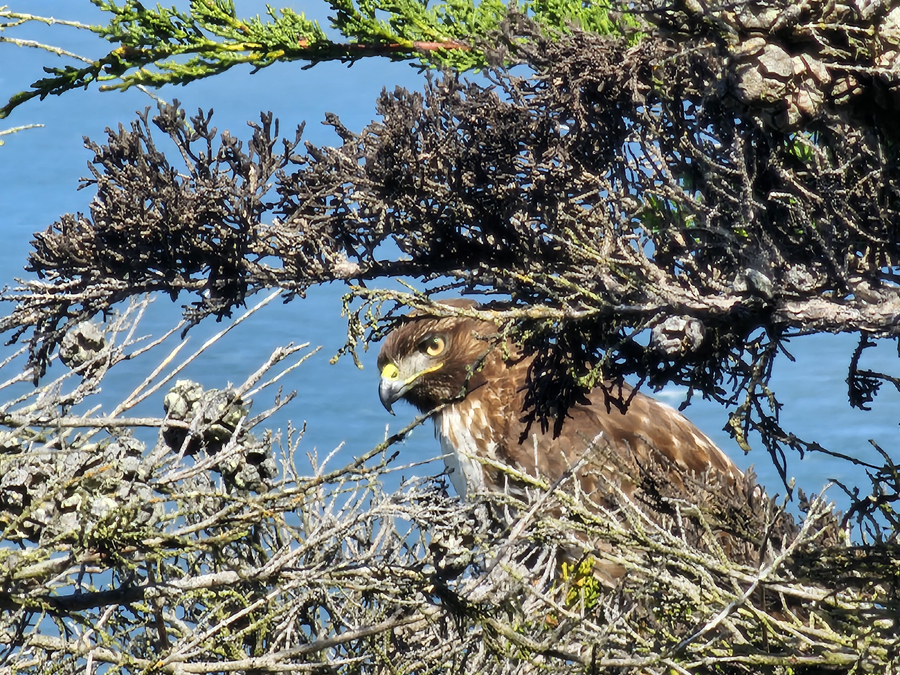 Photos of the Month: April 2025 – Richmond Review/Sunset Beacon