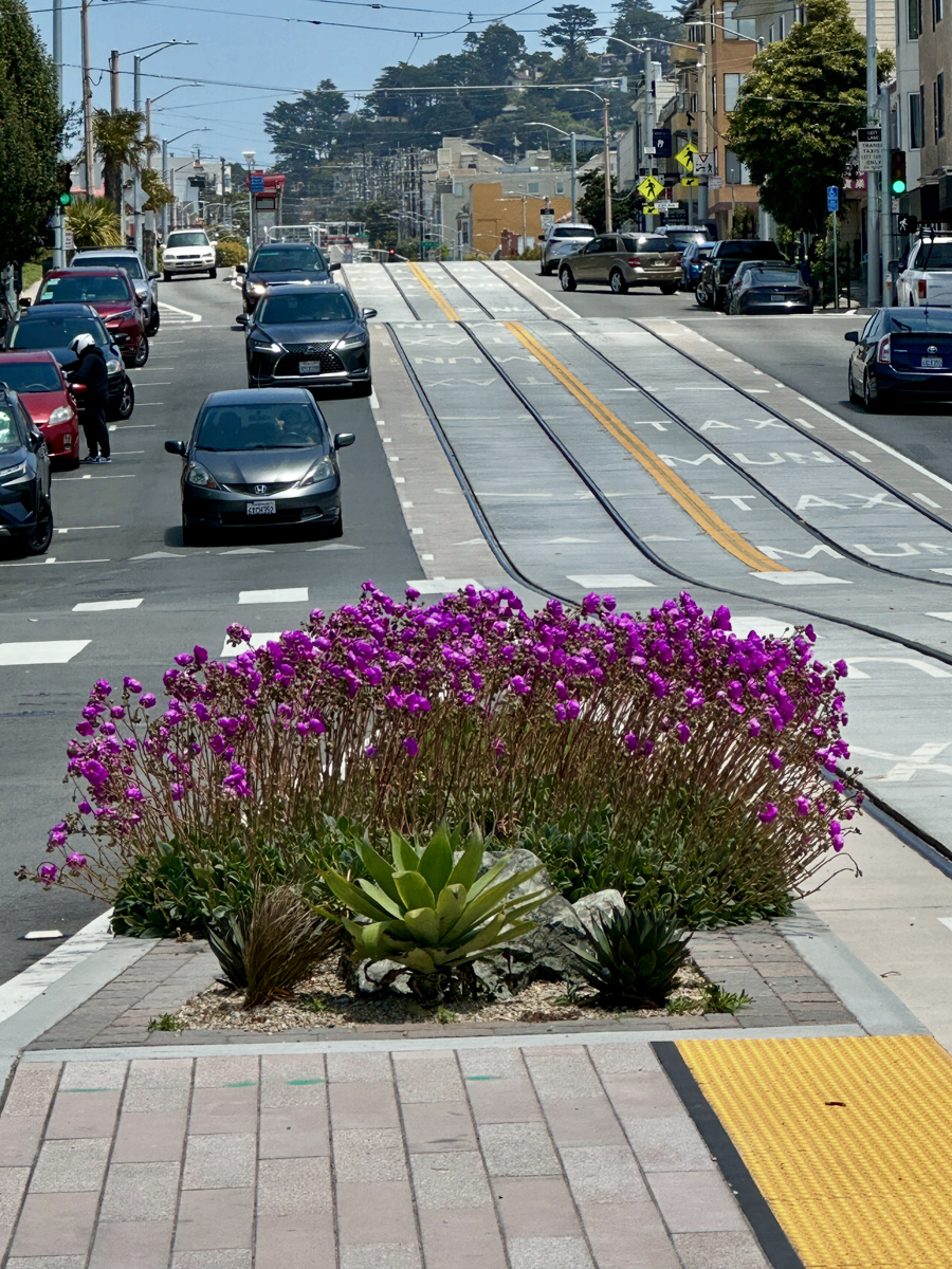 Durand – Richmond Review/Sunset Beacon