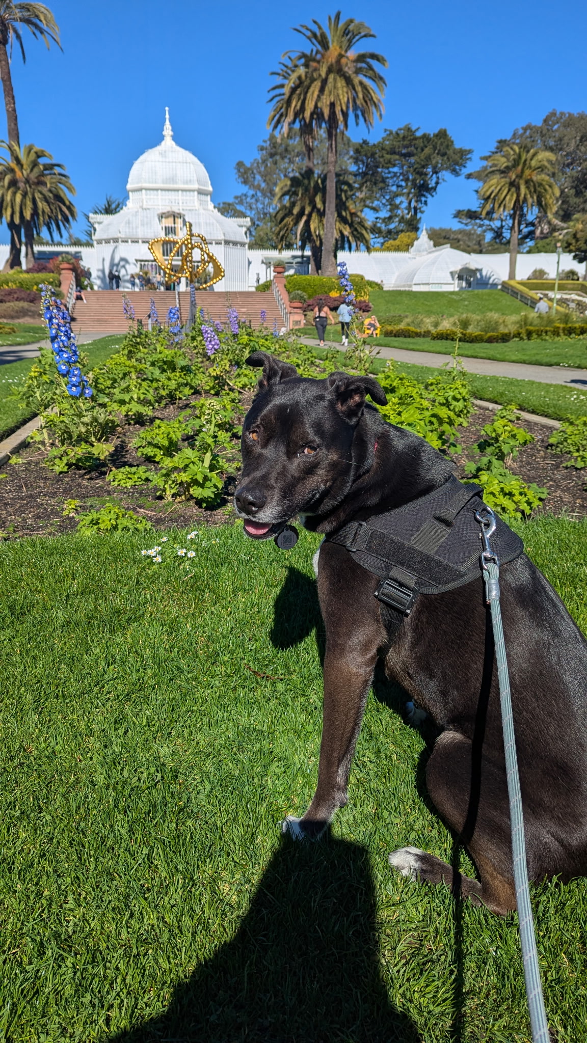 PetPixMoose – Richmond Review/Sunset Beacon